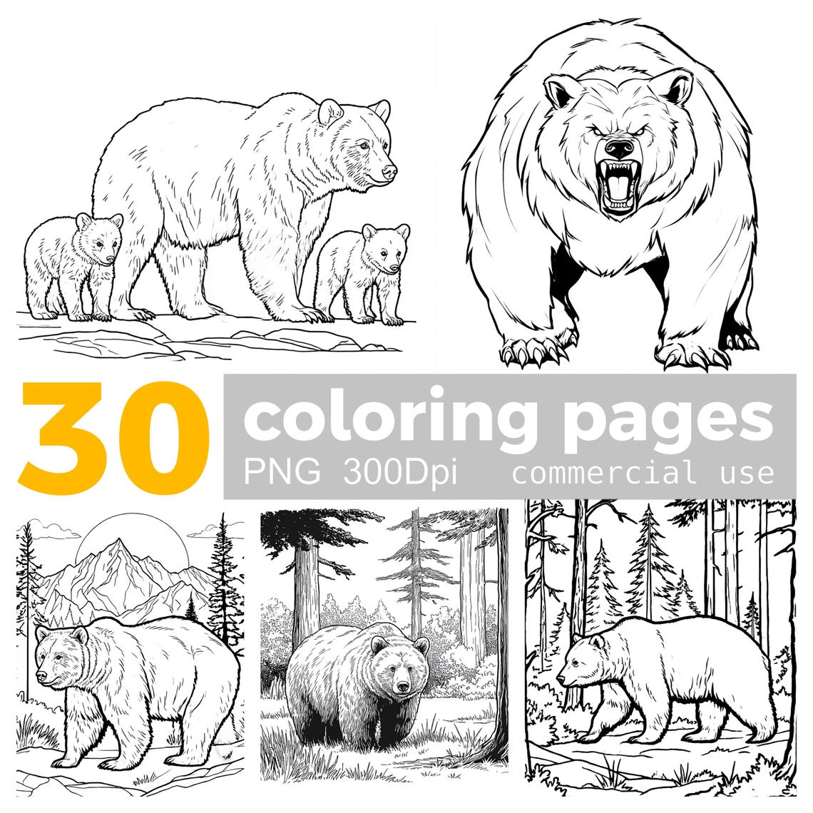 Bear Coloring Pages: Forest Animals Clipart (30 PNG Digital Download ...