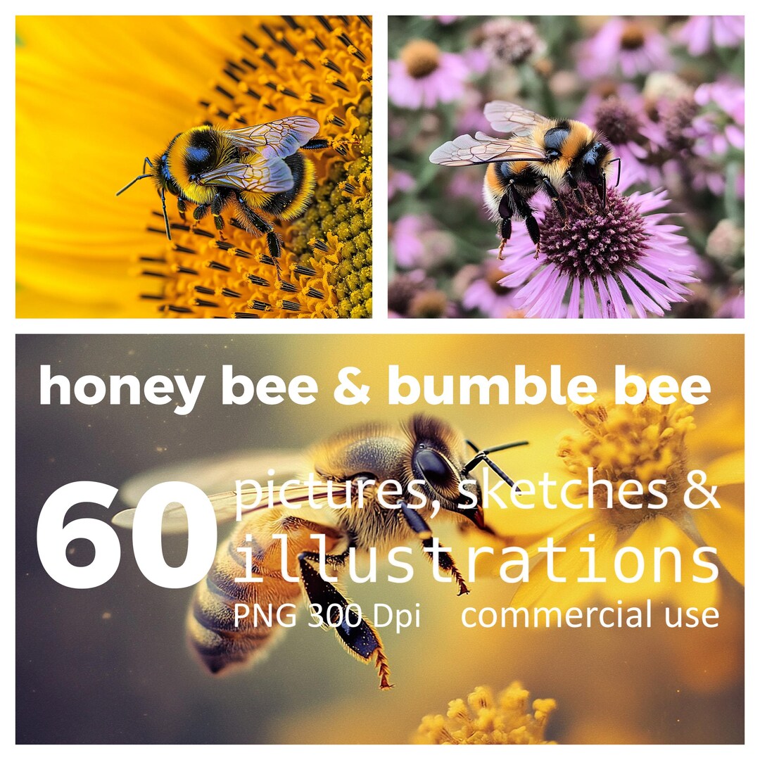 60 PNG Pictures and Photos of Honey Bee and Bumble Bee Insect Animal ...