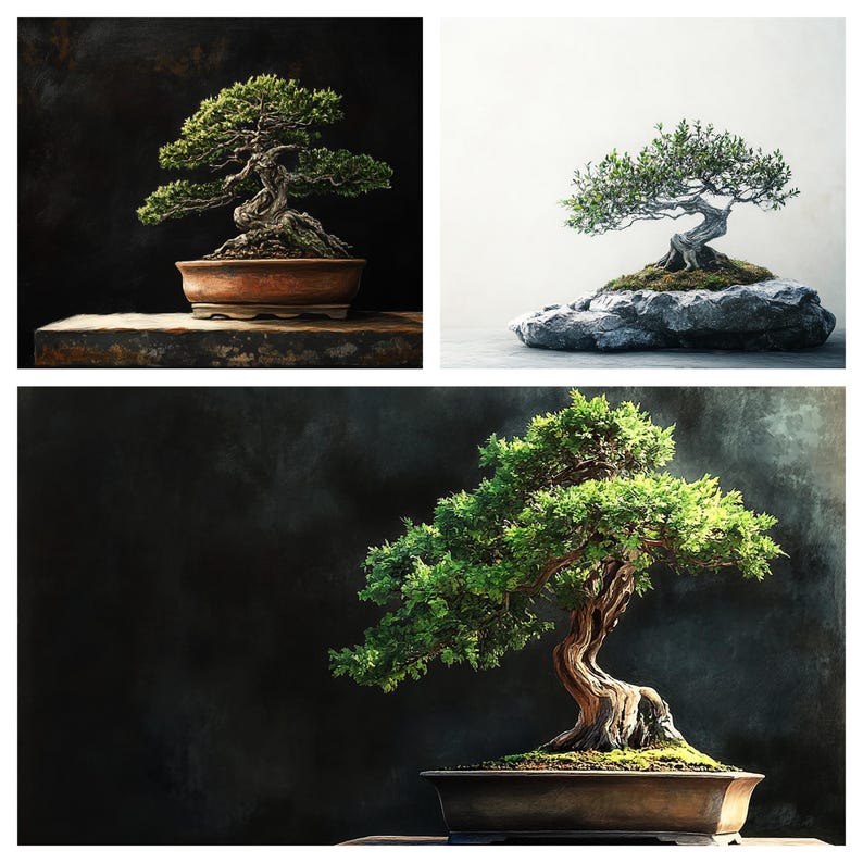 Japanese Bonsai Tree Art: 66 PNG Illustrations (commercial Use) - Etsy