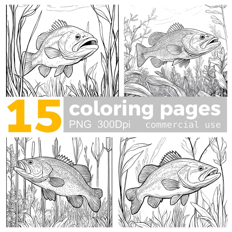 Largemouth Bass Coloring Pages: Fishing Angling Clipart (PNG Digital ...