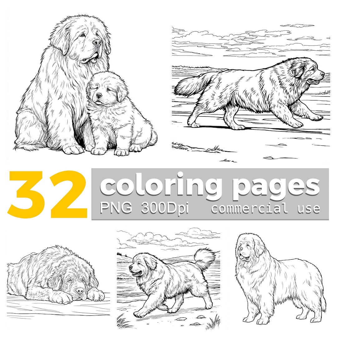 Newfoundland Dog Coloring Pages: Pet Theme Clipart (PNG Digital ...