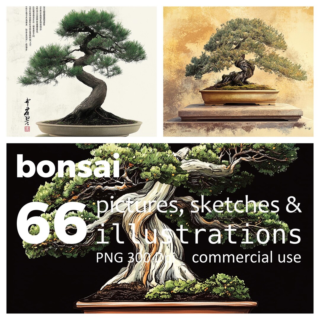 Japanese Bonsai Tree Art: 66 PNG Illustrations (commercial Use) - Etsy