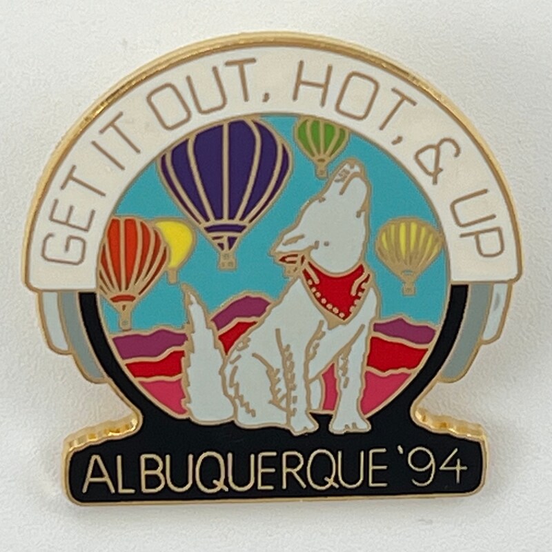 Coyote Enamel Pin - Etsy