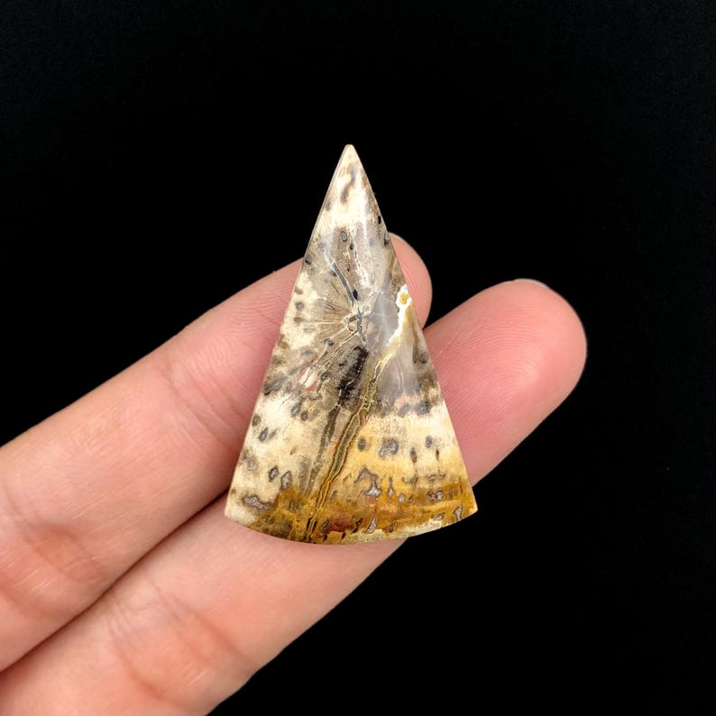 Natural Fossil Petrified Wood Cabochon | Unique Gemstone for Jewelry ...