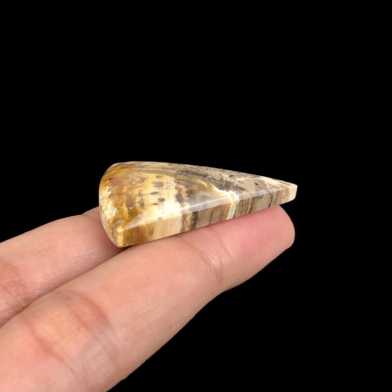 Natural Fossil Petrified Wood Cabochon | Unique Gemstone for Jewelry ...