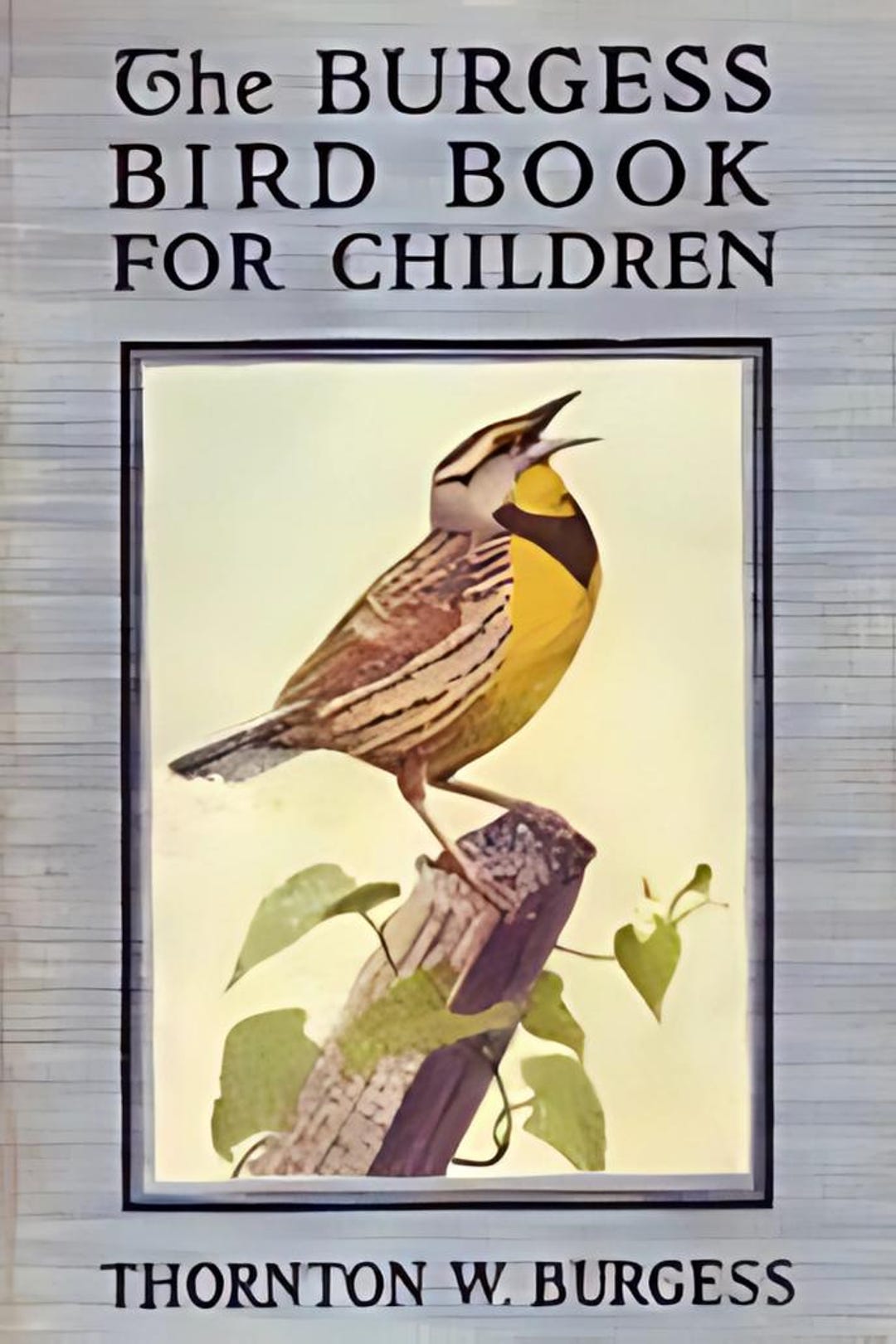 Vintage the Burgess Bird Book for Children - Educational Printable ...