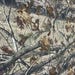 Jersey Knit Realtree Ap Camouflage Sport Stretch Fabric by the Yard - Etsy