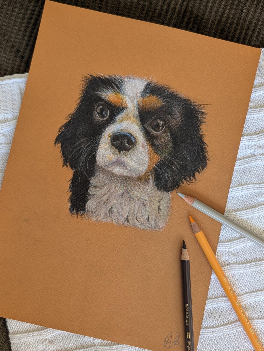 Custom Coloured Pencil Pet Portraits, Hand Drawn Pet Portrait Art, Pet ...