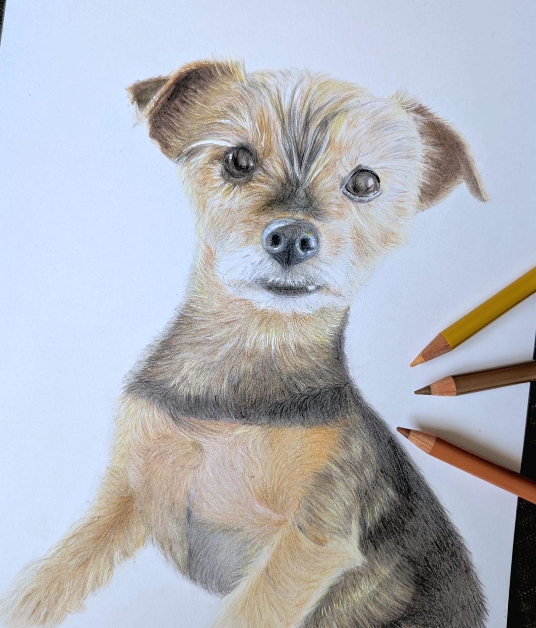 Custom Coloured Pencil Pet Portraits, Hand Drawn Pet Portrait Art, Pet ...