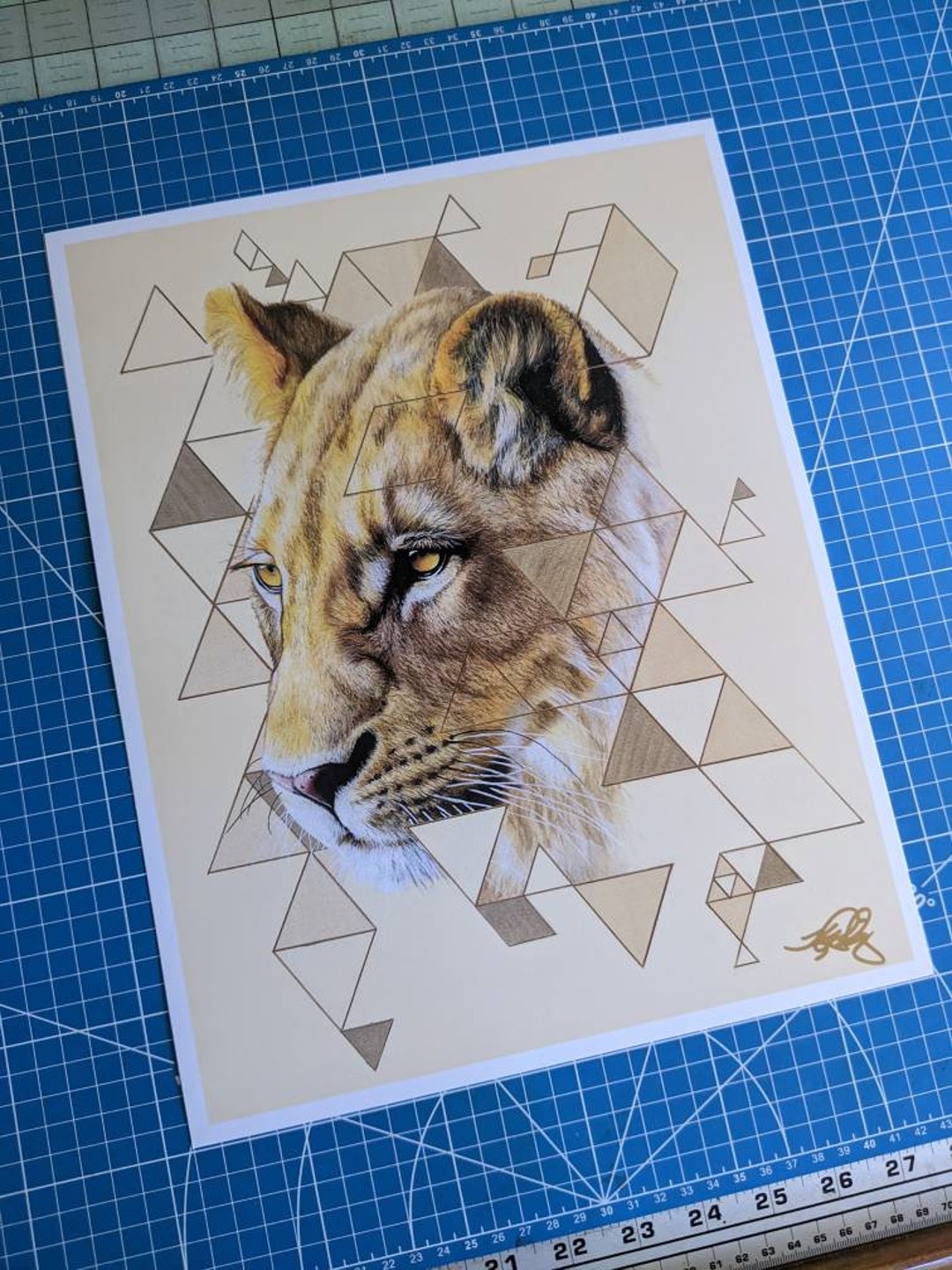 LAST CHANCE Lioness 11x14 Art Print - Etsy