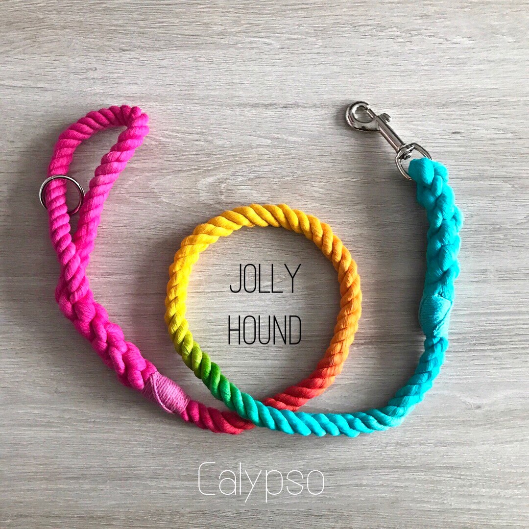 8mm Calypso Ombré Rope Dog Leash, Small Dog Lead - Etsy