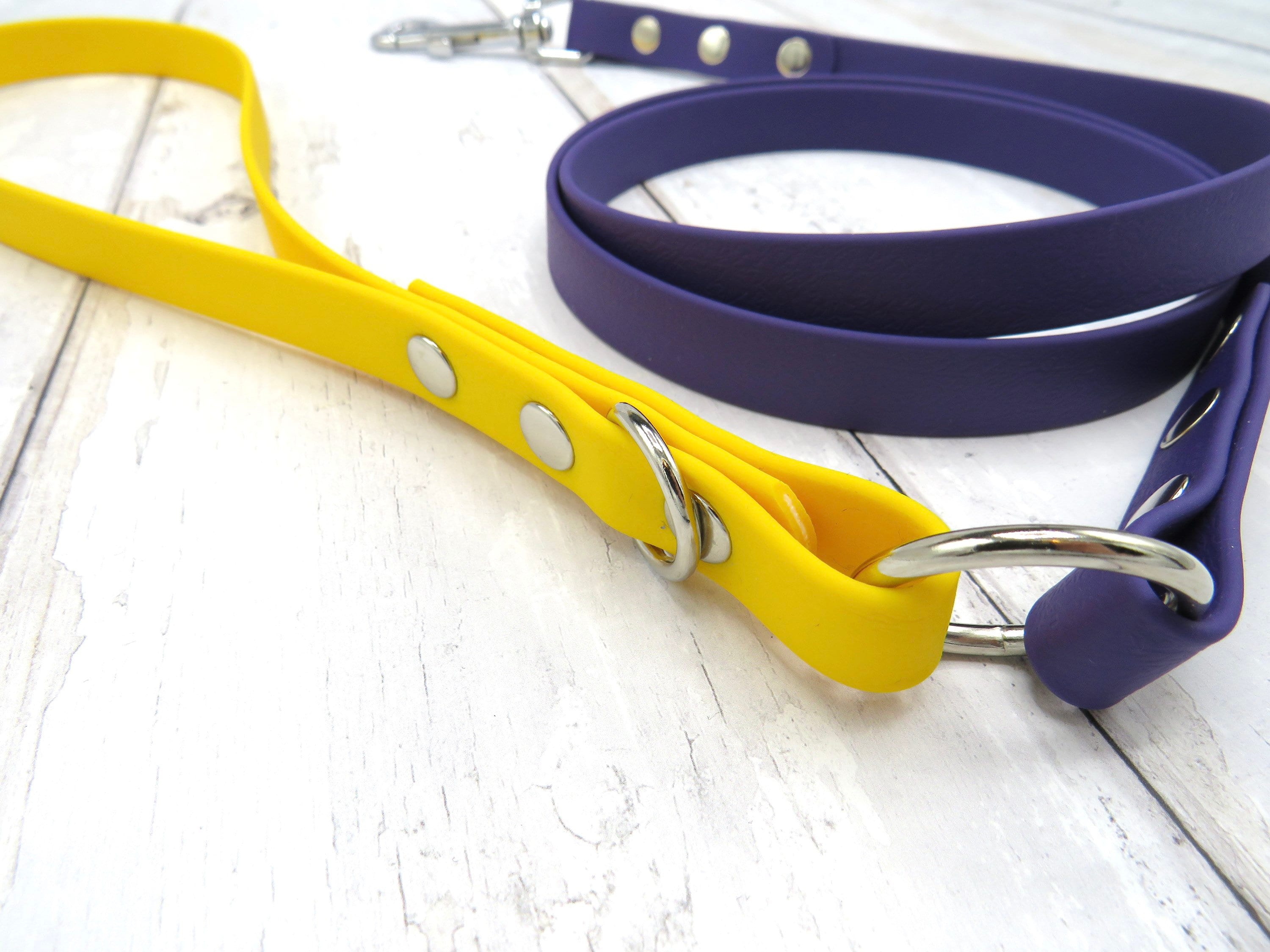 6FT Two Colour Biothane Dog Lead / Waterproof Webbing Dog Lead - Etsy UK