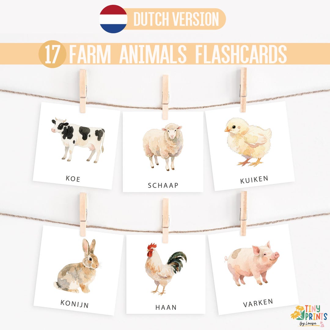 DUTCH, 17 Farm Animals Cards, Montessori Flash Cards, Pre-school Cards ...