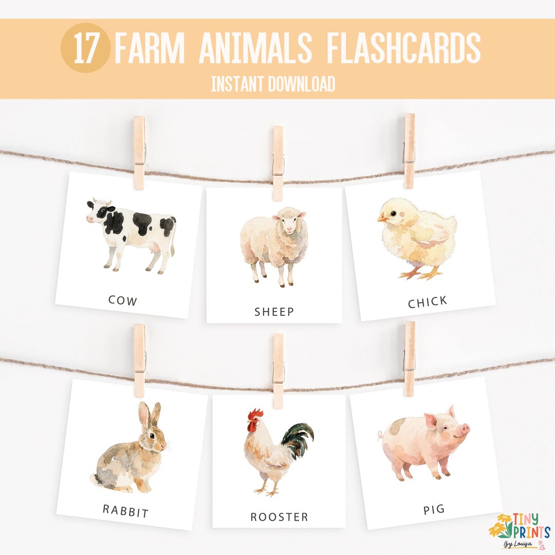 17 Farm Animals Cards, Montessori Flash Cards, Pre-school Cards ...