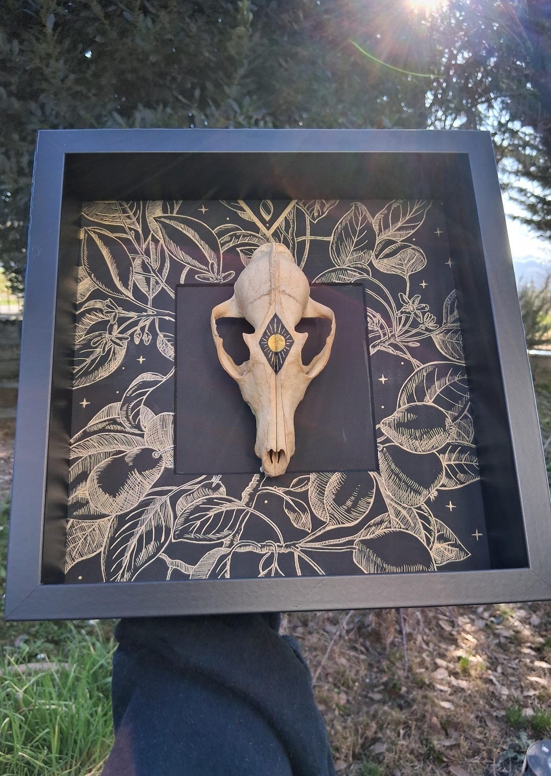 The Fool: Fox Skull (vulpes Vulpes) in 3D Frame - Etsy