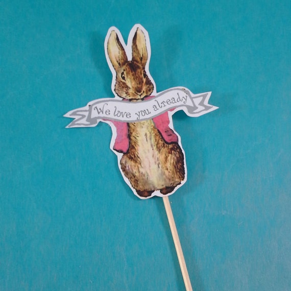 Party Supplies Peter Boy or Girl Birthday Pack of 12 Peter Rabbit ...