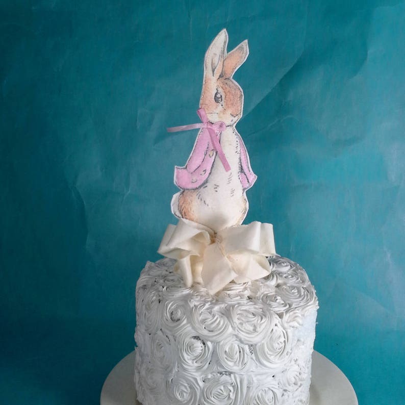 Pink Peter Rabbit Cake Topper Fabric Peter Rabbit Birthday or - Etsy