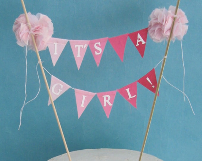 Pink Ombre Cake Banner Smash Cake Pink Ombre Baby Girl - Etsy