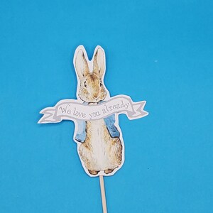 Pink Peter Rabbit Cupcake Toppers, Peter Rabbit Birthday, Girl Shower ...