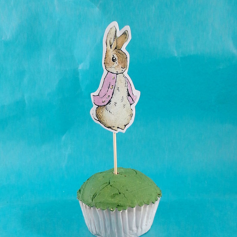 Pink Peter Rabbit Cupcake Toppers Peter Rabbit Birthday Girl - Etsy
