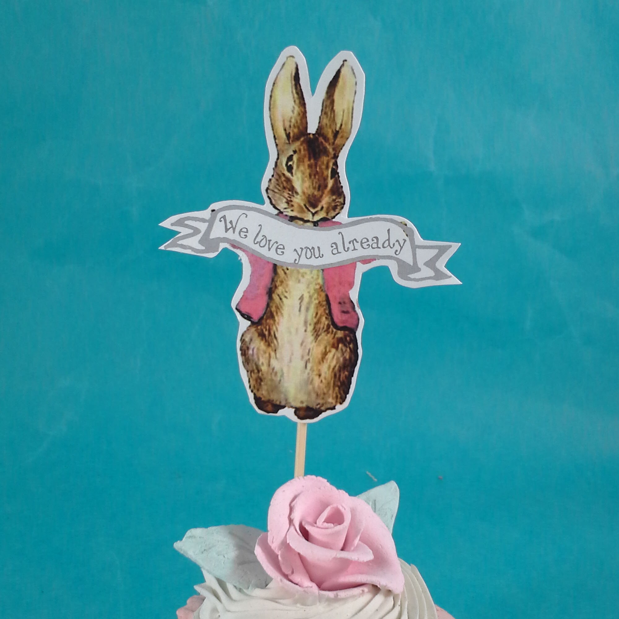 Party Supplies Peter Boy or Girl Birthday Pack of 12 Peter Rabbit ...