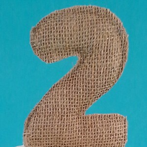 Burlap Number Cake Topper, Rustic Burlap 2nd Birthday Topper, Burlap ...