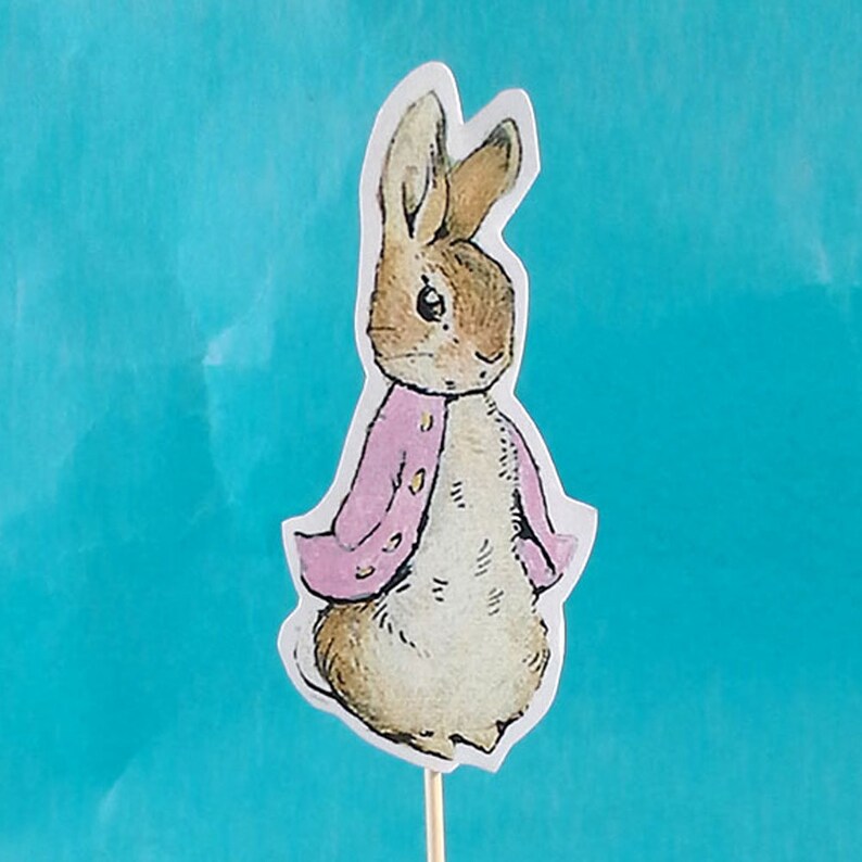 Pink Peter Rabbit Cupcake Toppers Peter Rabbit Birthday Girl | Etsy