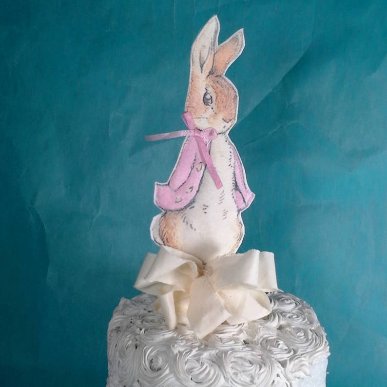 Pink Peter Rabbit cake topper fabric Peter Rabbit birthday or | Etsy