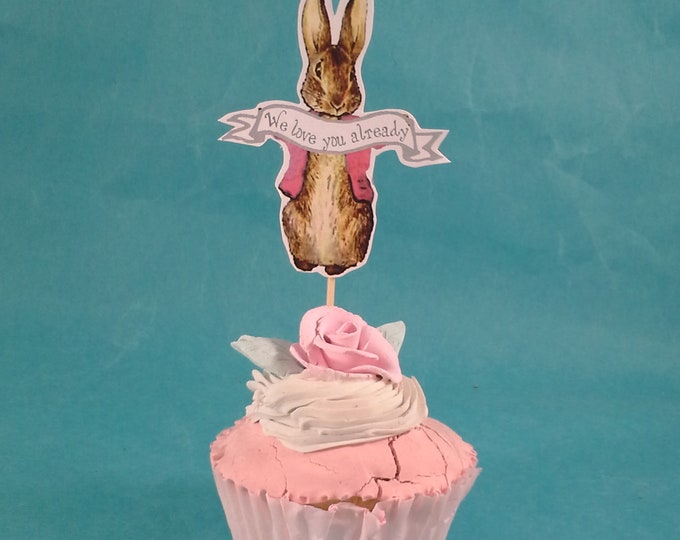 Pink Peter Rabbit Cupcake Toppers, Peter Rabbit Birthday, Girl Shower ...