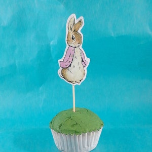 Peter Rabbit Cupcake Toppers Pink Peter Rabbit Birthday - Etsy