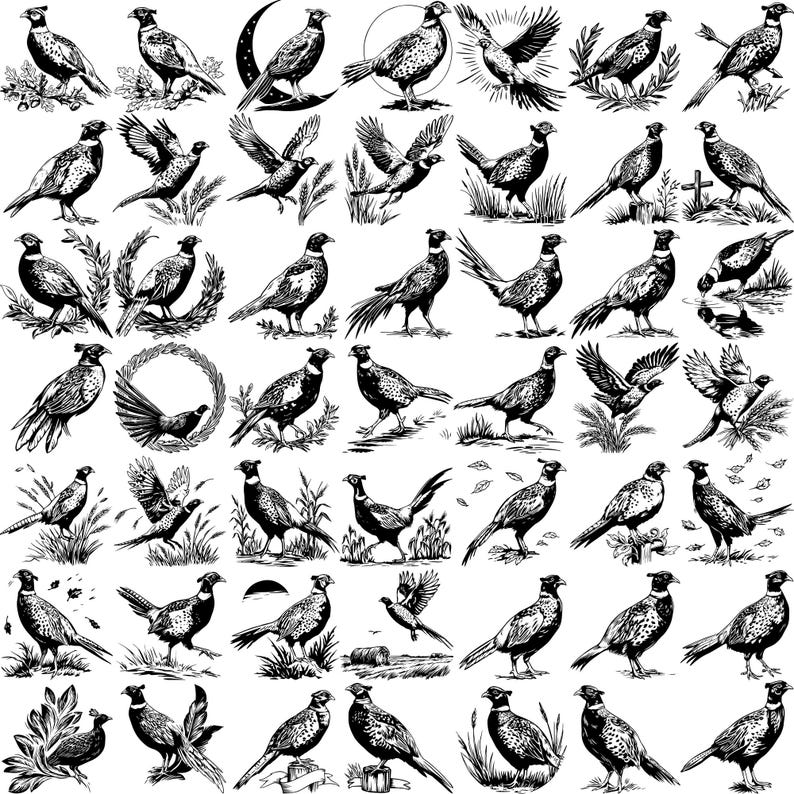 170+ Pheasant Svg, Dxf, Eps, Ai, Pdf, Jpg, Png Bird Grayscale Burn ...