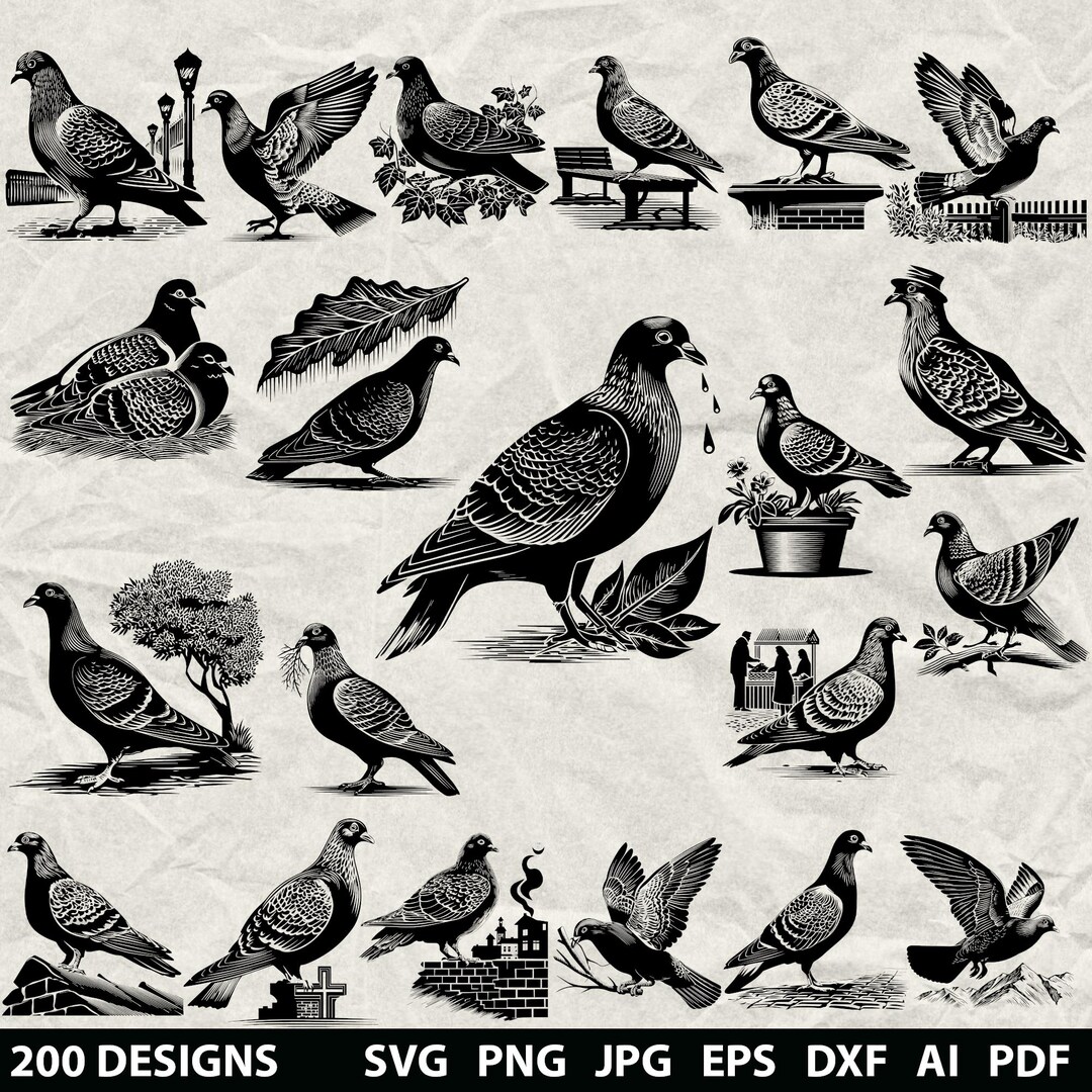 210 Pigeon Bundle Svg, Dxf, Eps, Ai, Pdf, Jpg, Png Bird Grayscale Burn ...