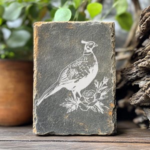 170+ Pheasant Svg, Dxf, Eps, Ai, Pdf, Jpg, Png Bird Grayscale Burn ...