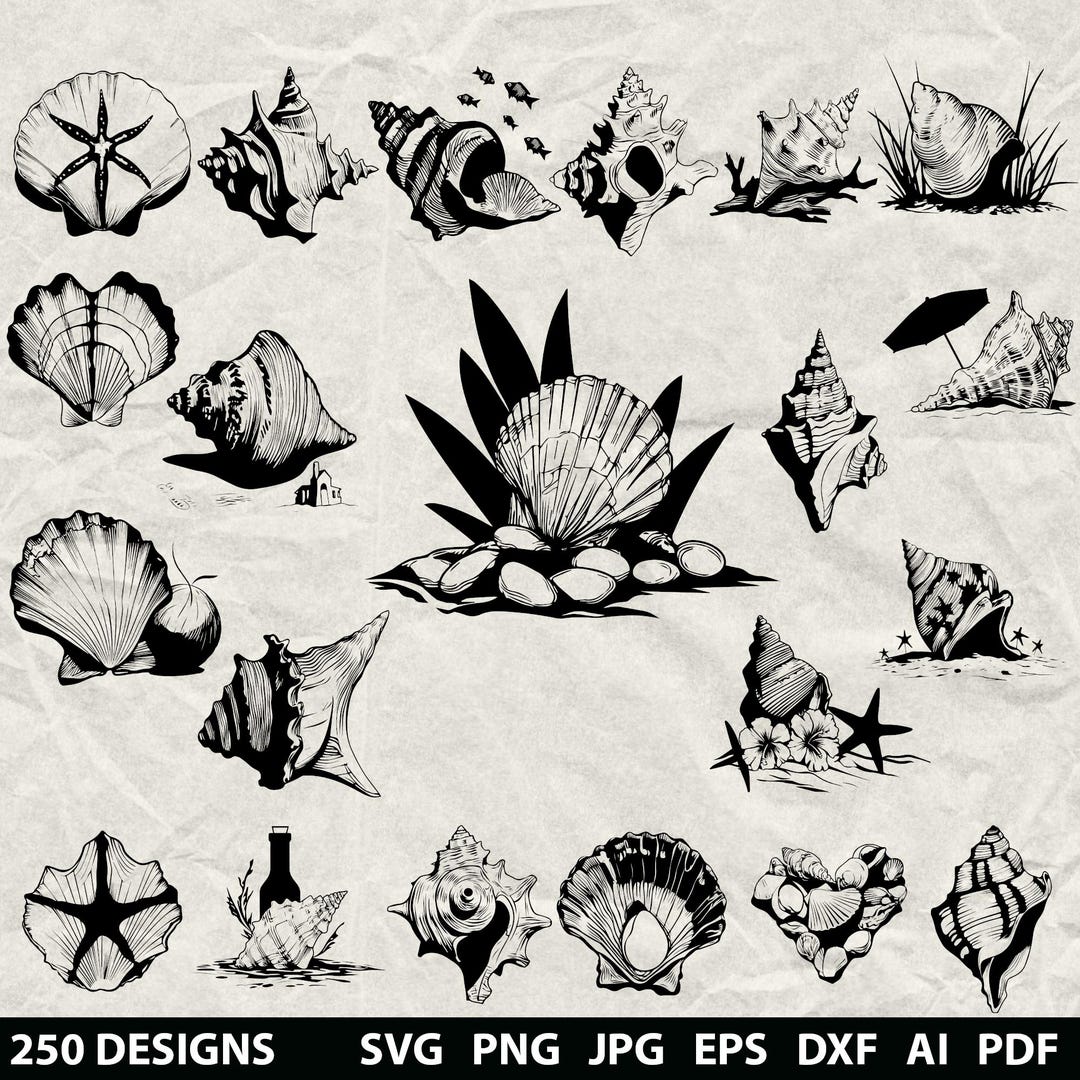250+ Seashell Bundle Svg, Dxf, Eps, Ai, Pdf, Jpg, Png Sea Animals ...