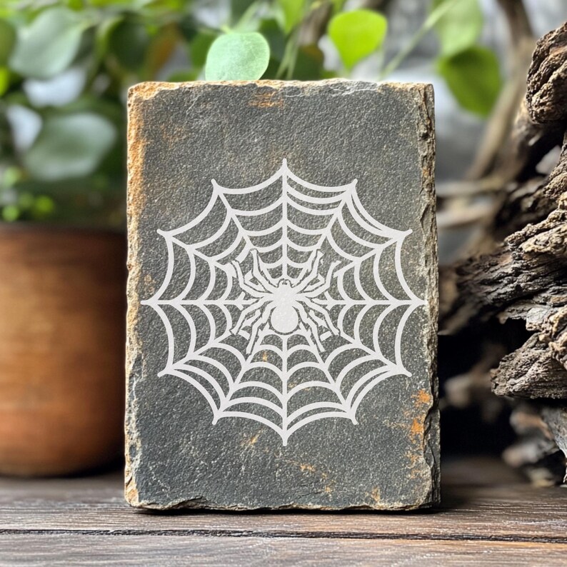 80+ Spider Web Bundle Svg, Dxf, Eps, Ai, Pdf,jpg, Png Halloween ...