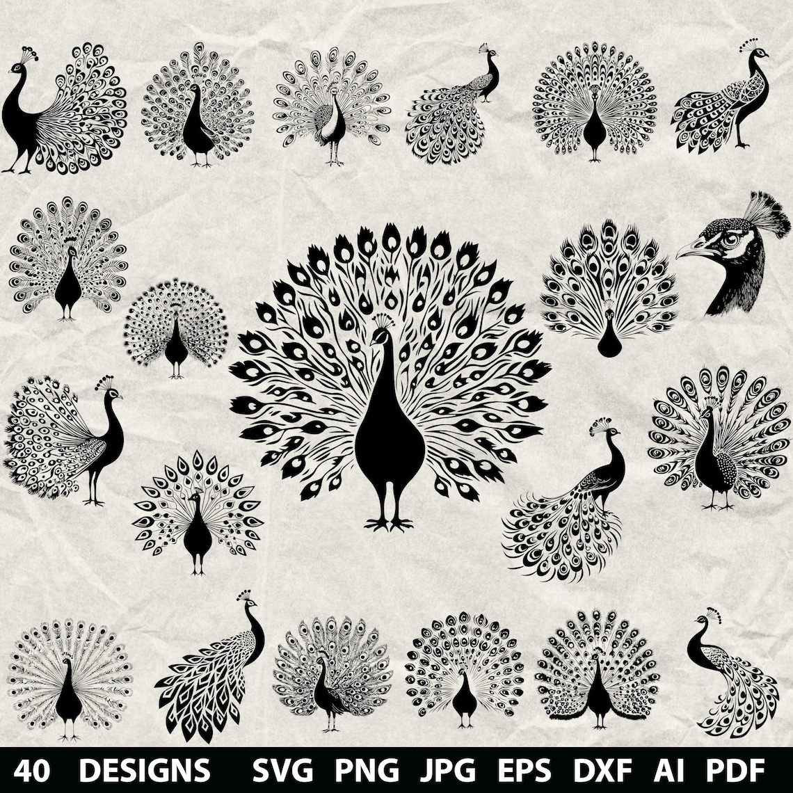 46 Peacock Bundle Svg, Dxf, Eps, Ai, Pdf, Jpg, Png Bird Grayscale Burn ...
