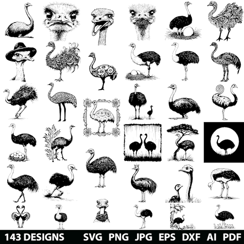 140 Ostrich Bundle Svg, Dxf, Eps, Ai, Pdf, Jpg, Png Bird Grayscale Burn ...