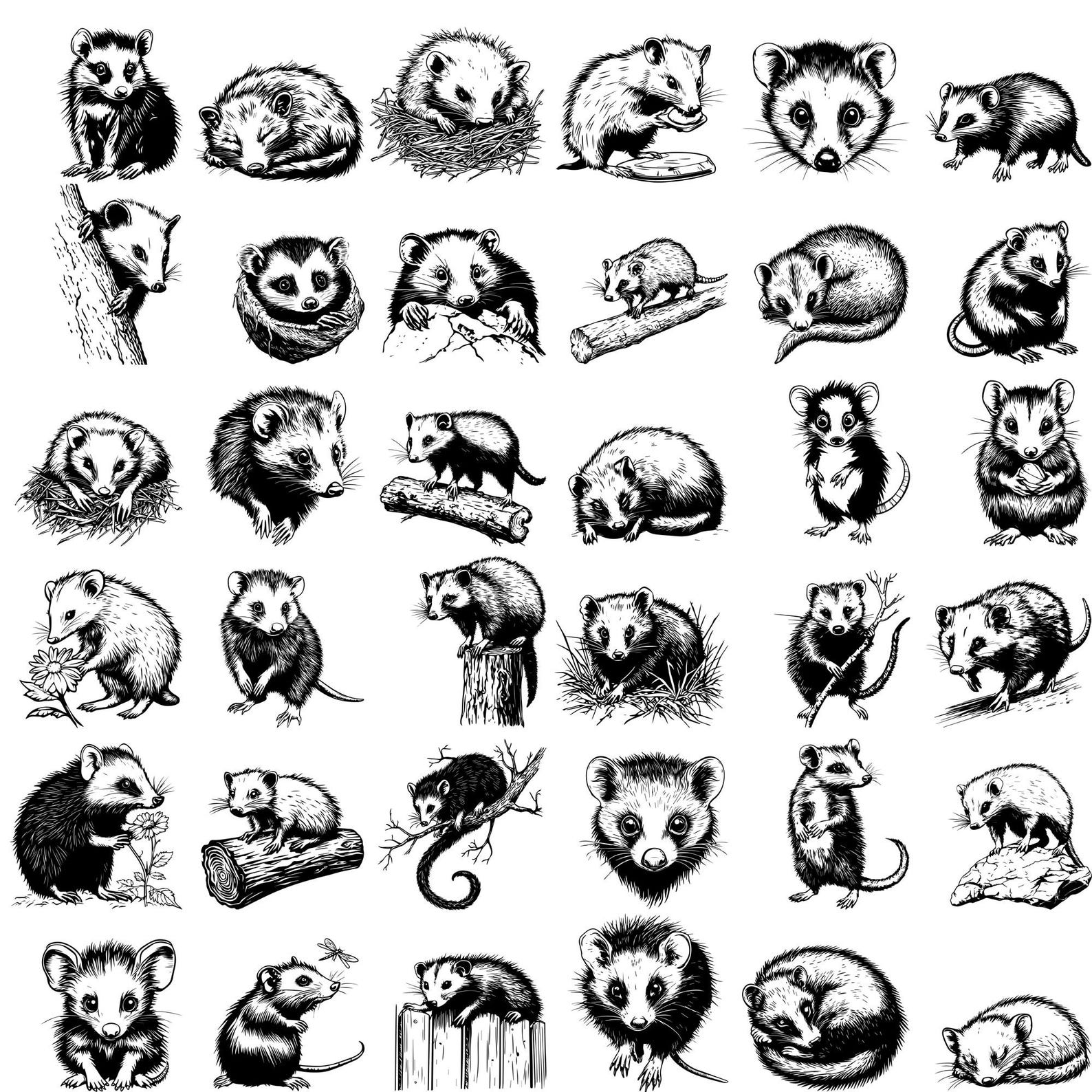 60+ Opossum Bundle Svg, Dxf, Eps, Ai, Pdf, Jpg, Png Opossum Grayscale ...