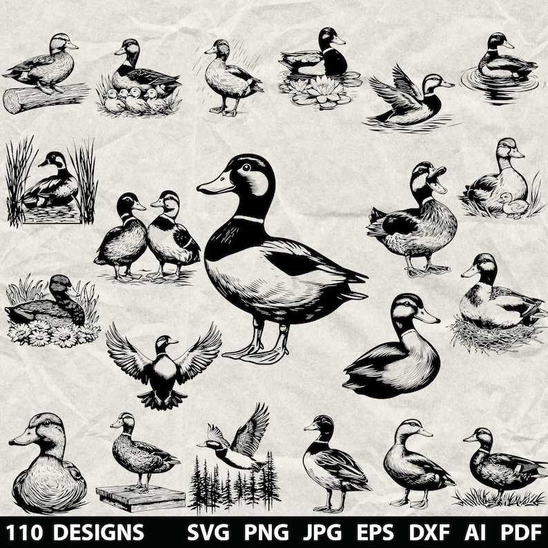 110+ Mallard Duck Bundle Svg, Dxf, Eps, Ai, Pdf, Jpg, Png Bird ...