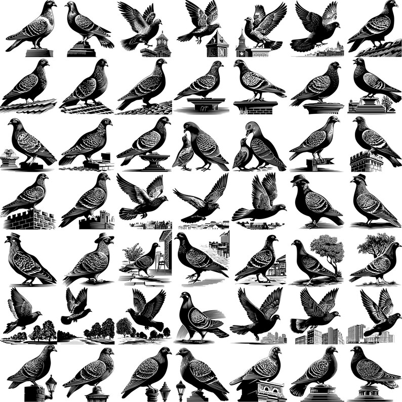 210 Pigeon Bundle Svg, Dxf, Eps, Ai, Pdf, Jpg, Png Bird Grayscale Burn ...