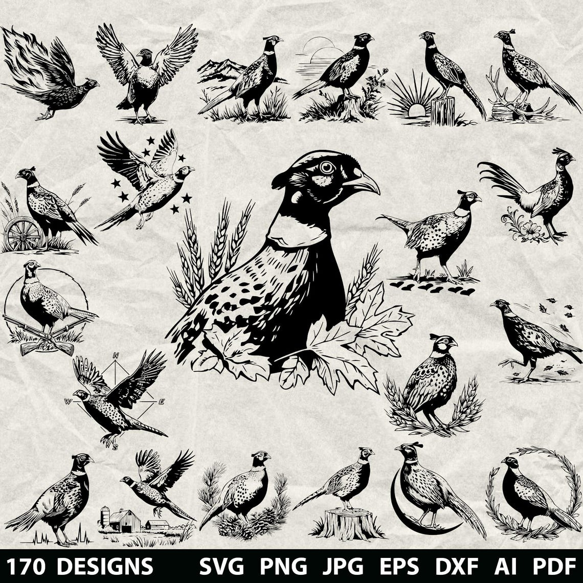 170+ Pheasant Svg, Dxf, Eps, Ai, Pdf, Jpg, Png Bird Grayscale Burn ...