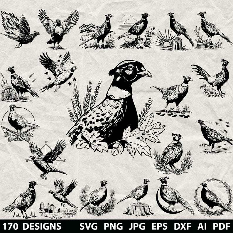 170+ Pheasant Svg, Dxf, Eps, Ai, Pdf, Jpg, Png Bird Grayscale Burn ...