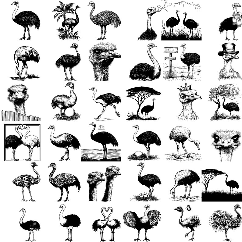 140 Ostrich Bundle Svg, Dxf, Eps, Ai, Pdf, Jpg, Png Bird Grayscale Burn ...