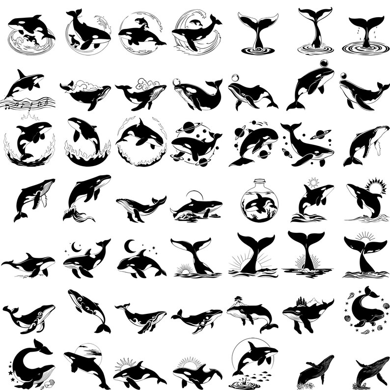 199 Whale Svg, Dxf, Eps, Ai, Pdf, Jpg, Png Killer Whale Grayscale Burn ...