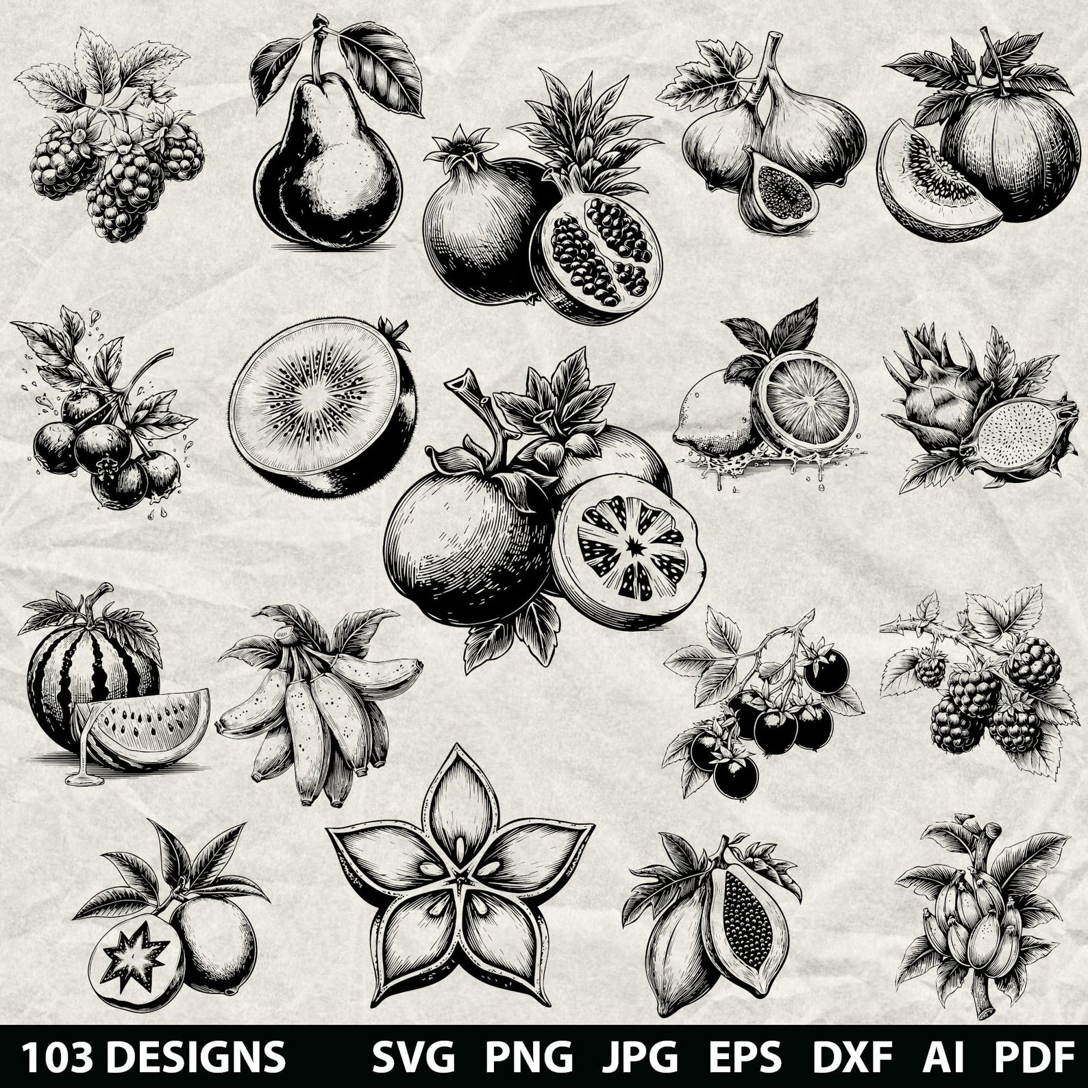 100 Fruits Bundle Svg, Dxf, Eps, Ai, Pdf, Jpg, Png Tropical Fruit ...