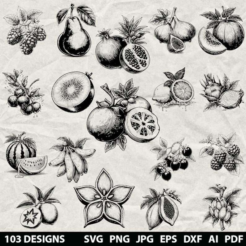100 Fruits Bundle Svg, Dxf, Eps, Ai, Pdf, Jpg, Png Tropical Fruit ...