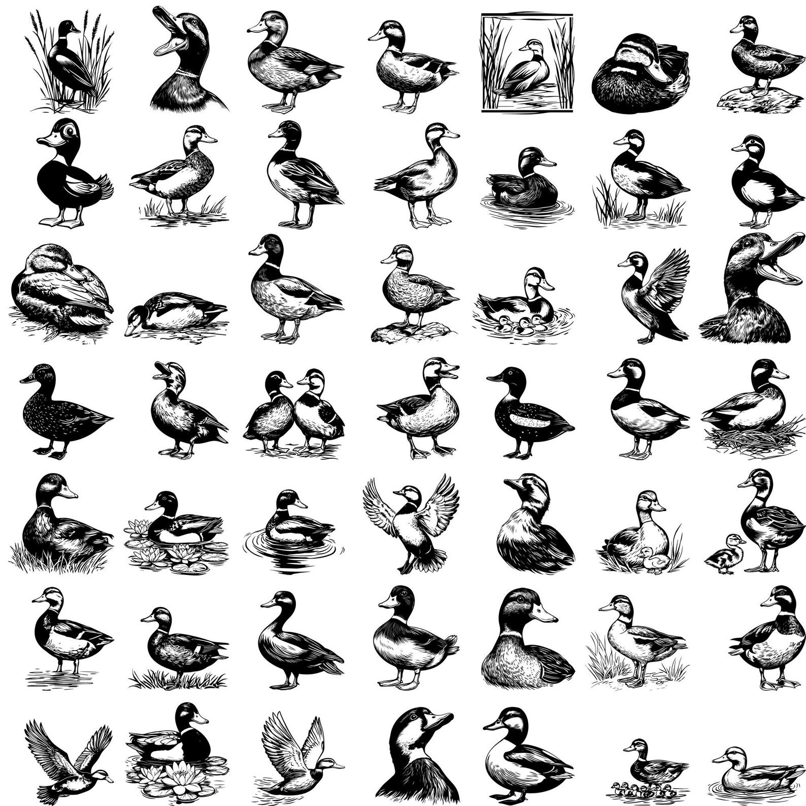 110+ Mallard Duck Bundle Svg, Dxf, Eps, Ai, Pdf, Jpg, Png Bird ...