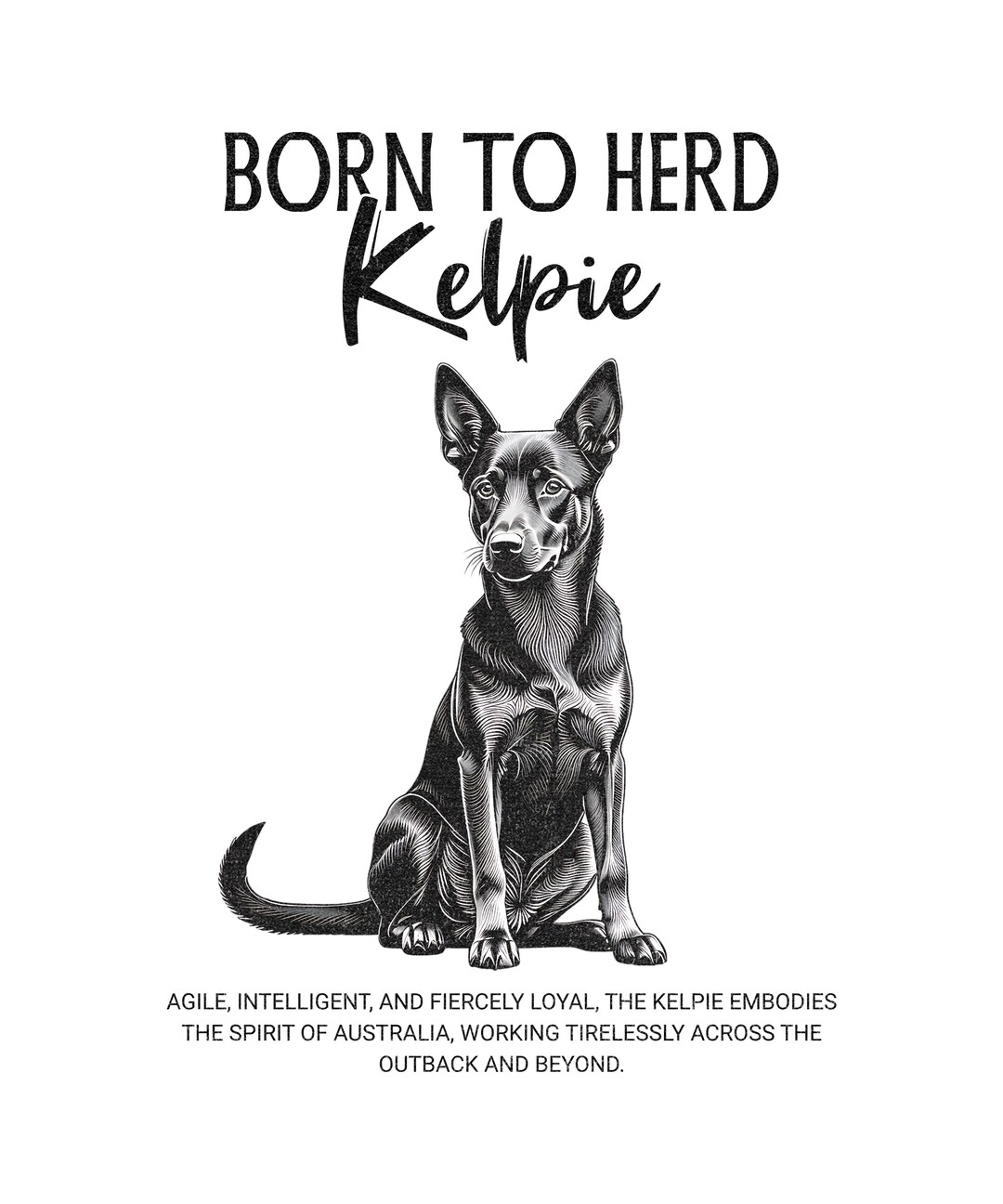 Australian Kelpie T-shirt, Front Design, Dog, T-shirt, Vintage, Dog ...