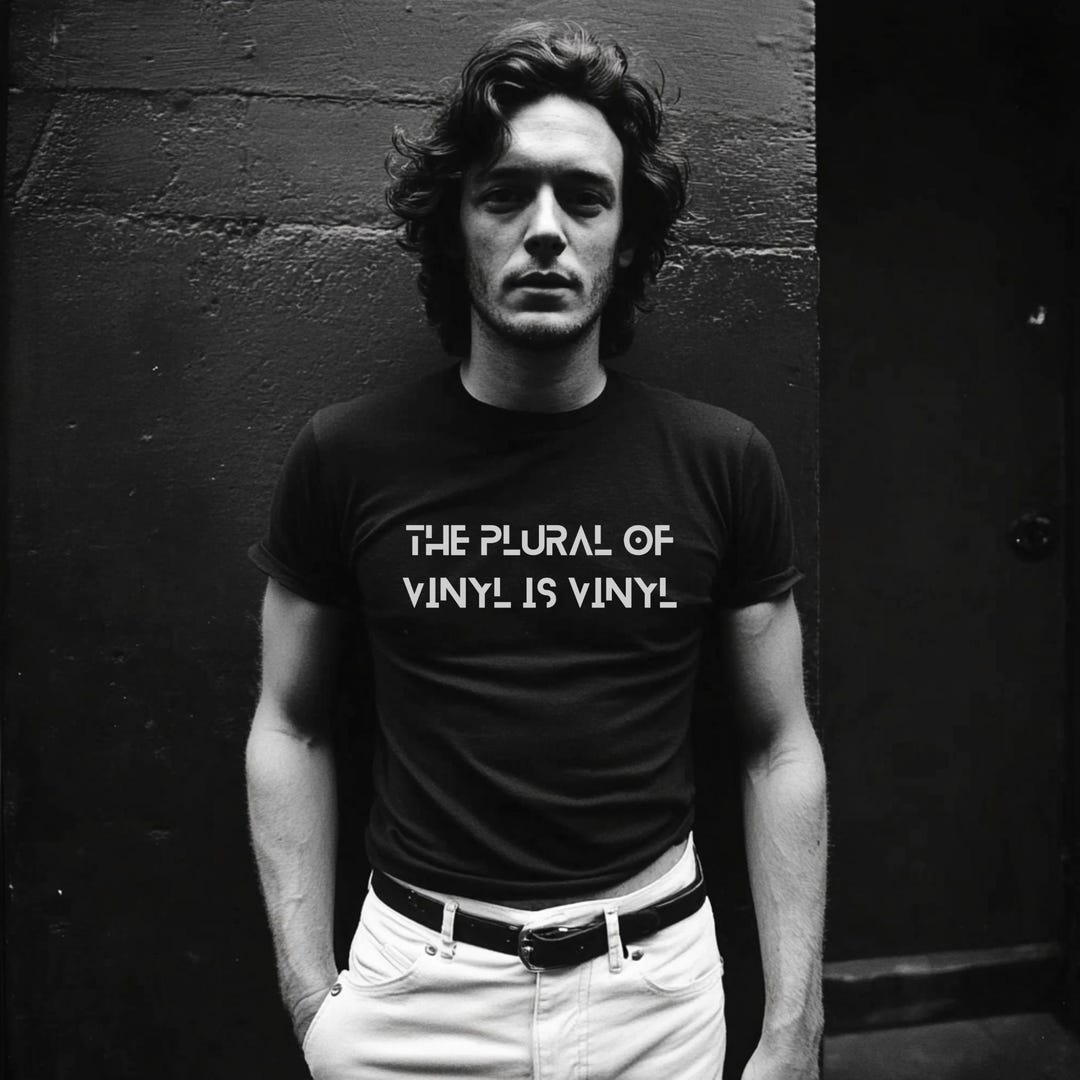 The Plural of Vinyl is Vinyl T-shirt, Funny Shirt for Record Collector ...