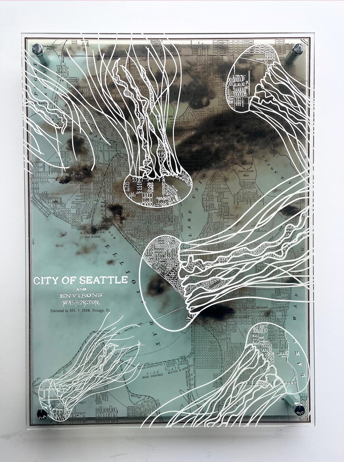 Vintage 1898 Seattle Map, Jellyfish Art, Illustration Hand-drawn Mixed ...